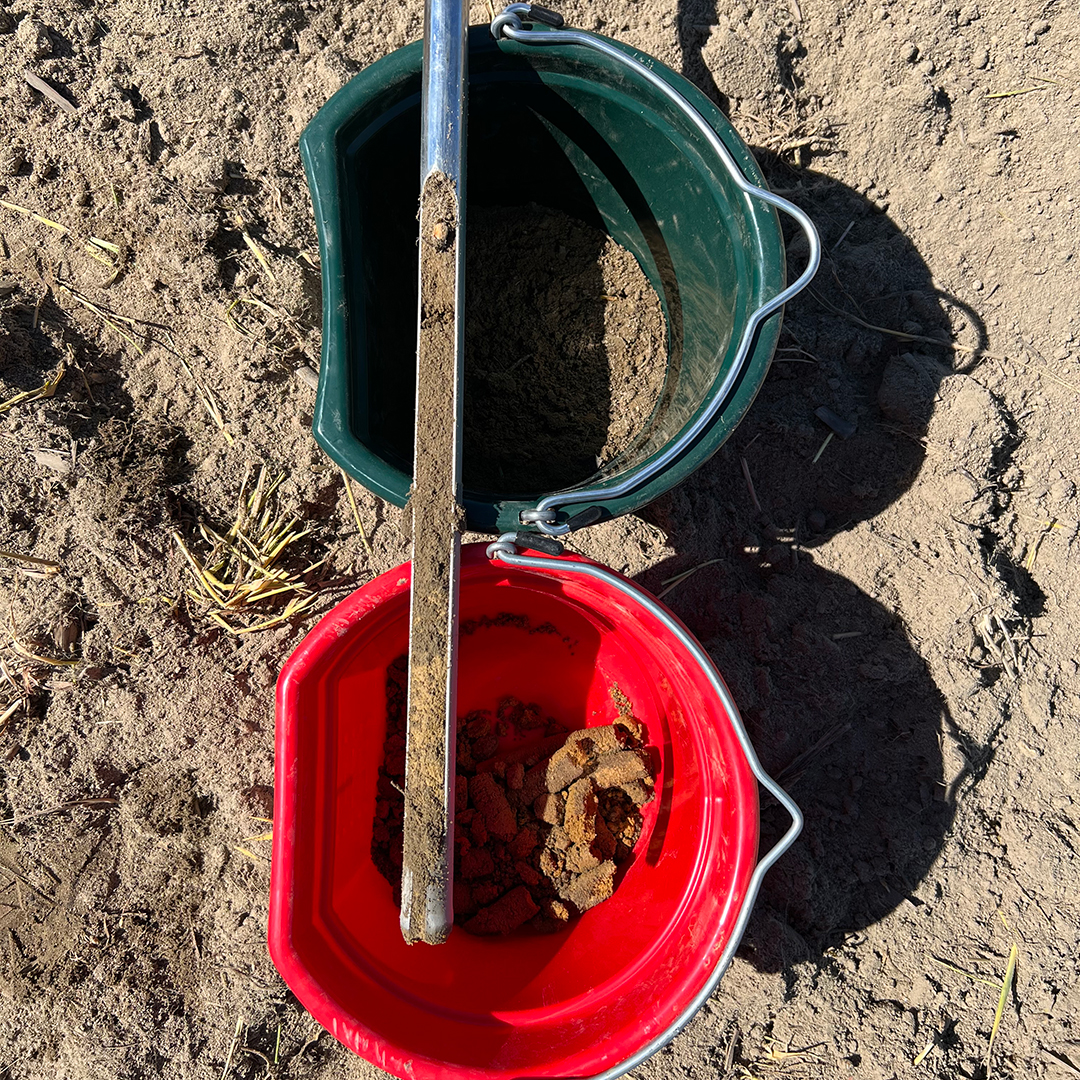 2023 Trial: Impacts of Soil Fumigation of Tobacco – TriEst Ag